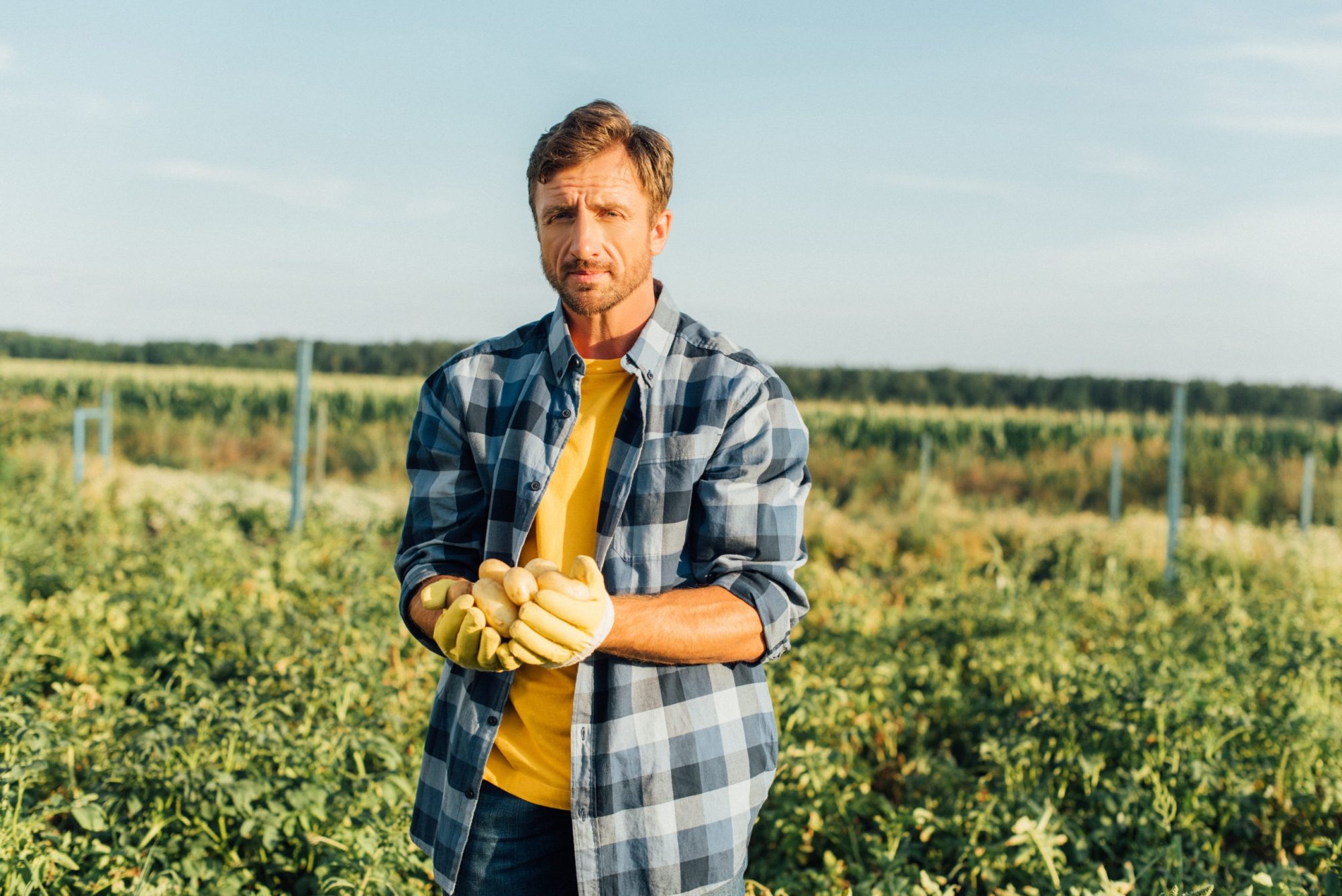 About – The Denbar Food Group